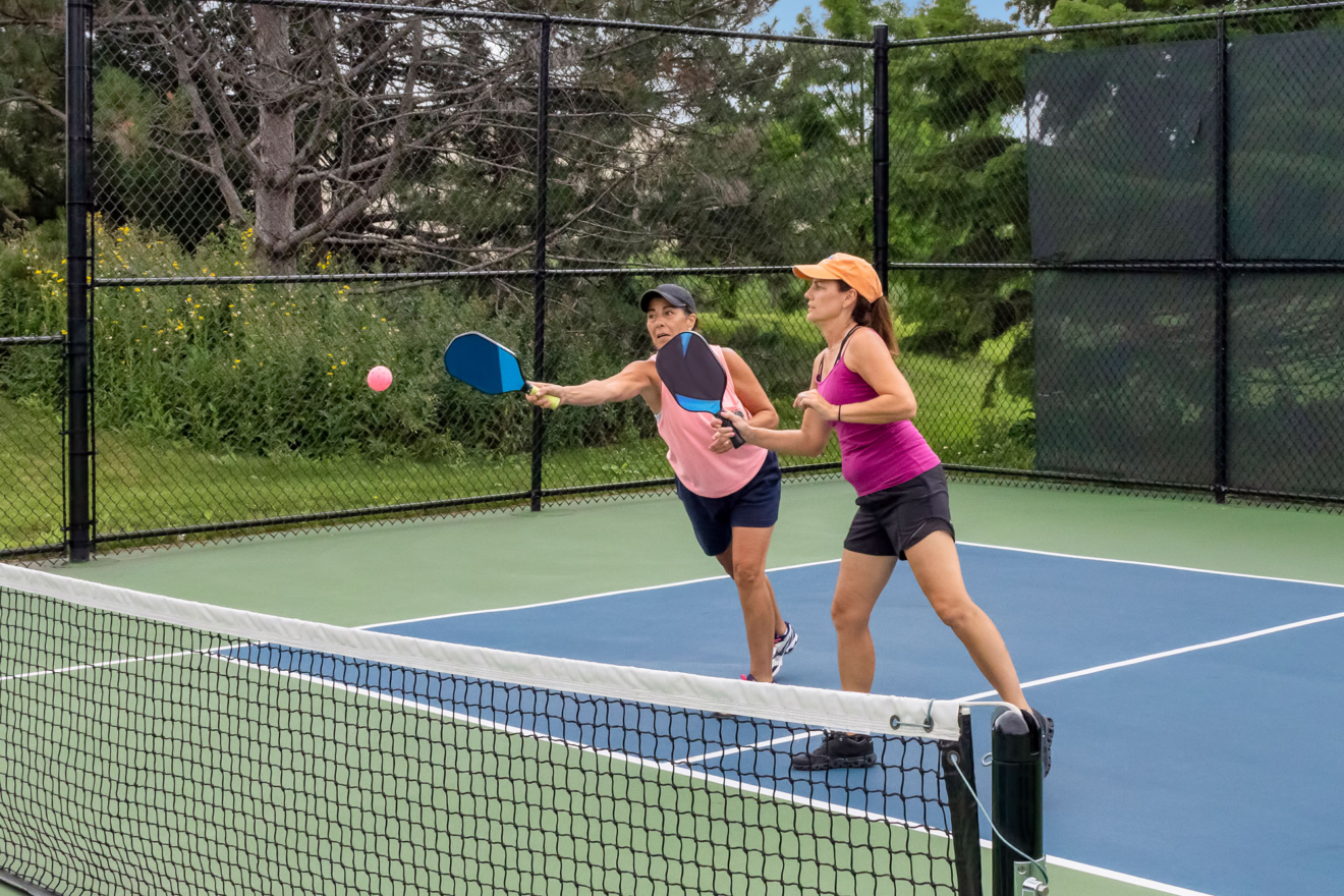 What is a Dink in Pickleball: Why, When & How to Dink?